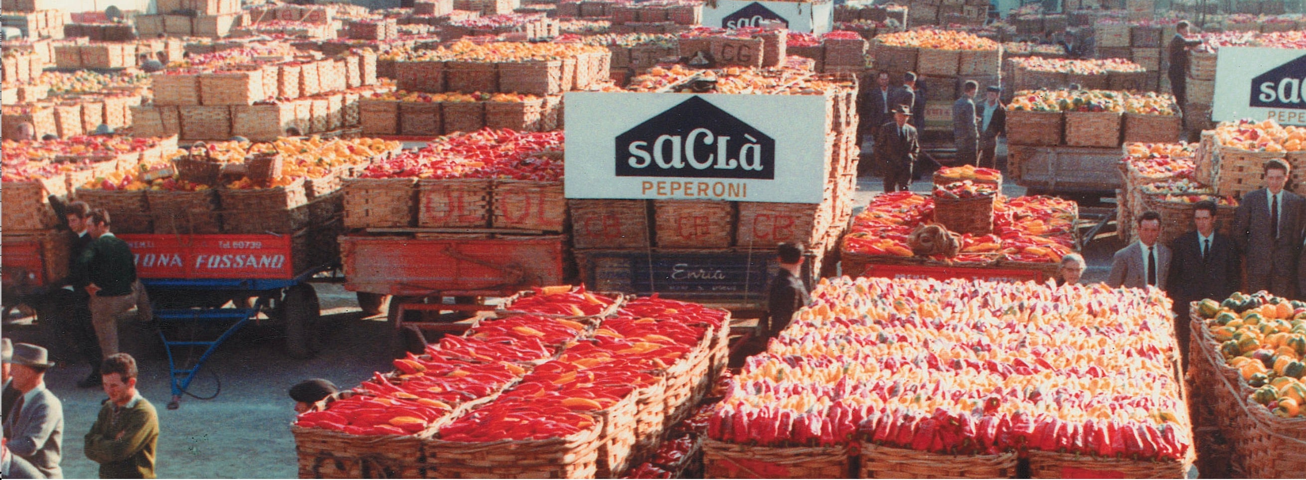 OUR FAMILY – Sacla'